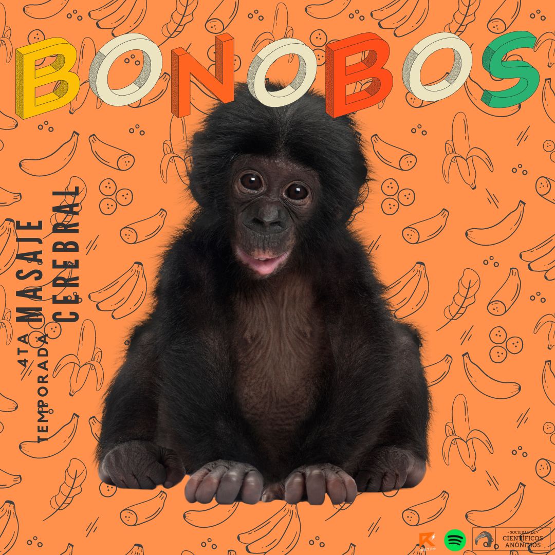BONOBOS - Sociedad de Científicos Anónimos