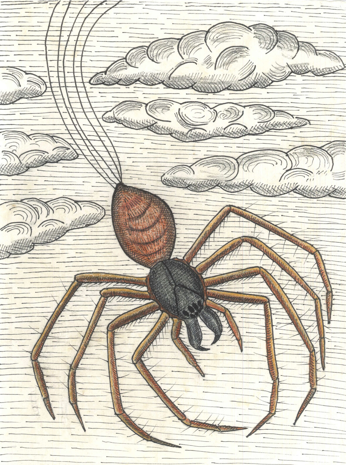 Bestiario de los animales reales que parecen inventados: FIERAS ...