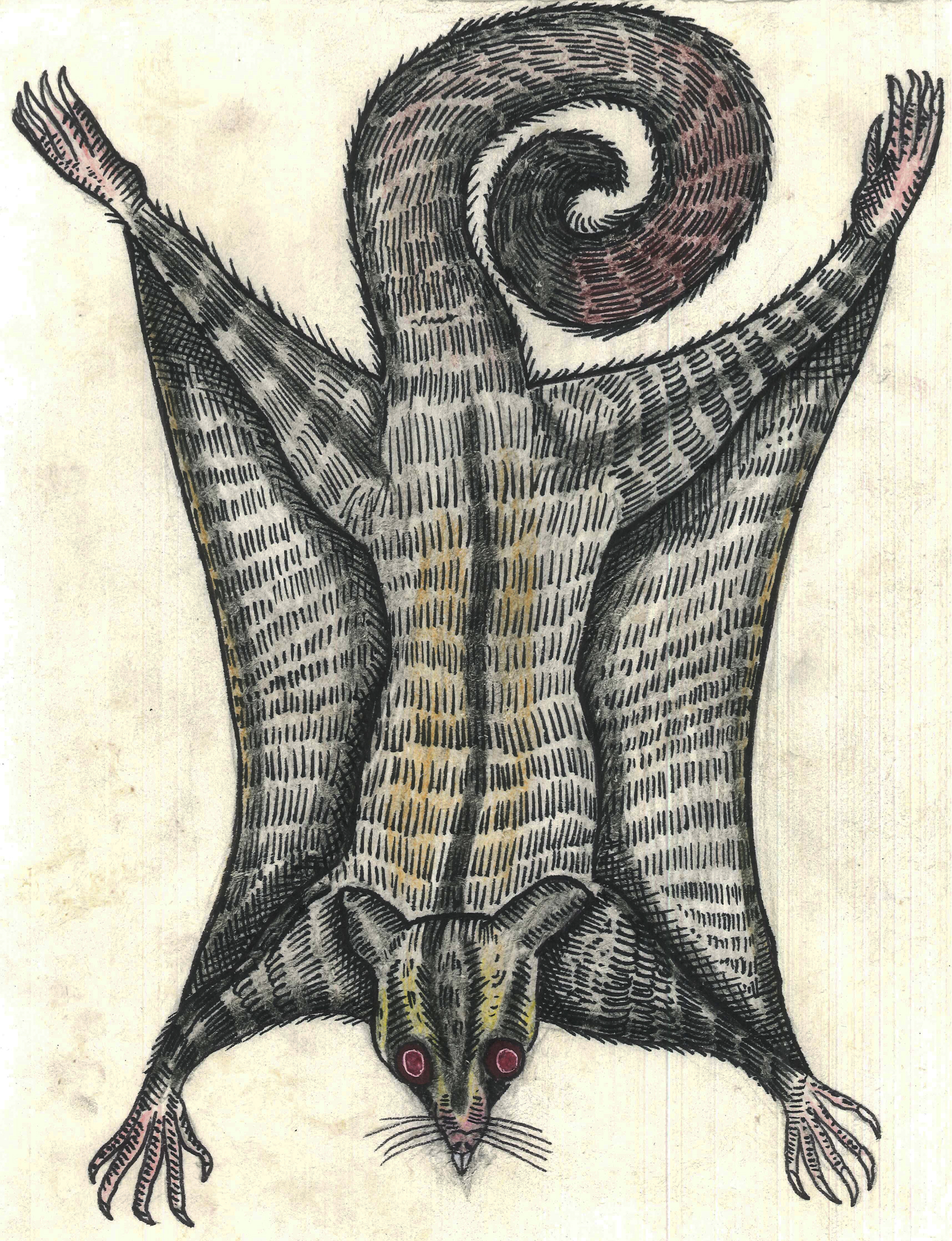 Bestiario de los animales reales que parecen inventados: FIERAS ...