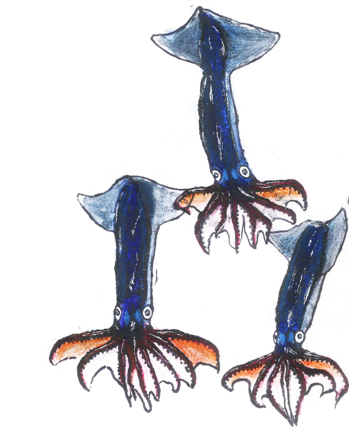 Bestiario de los animales reales que parecen inventados: FIERAS ...