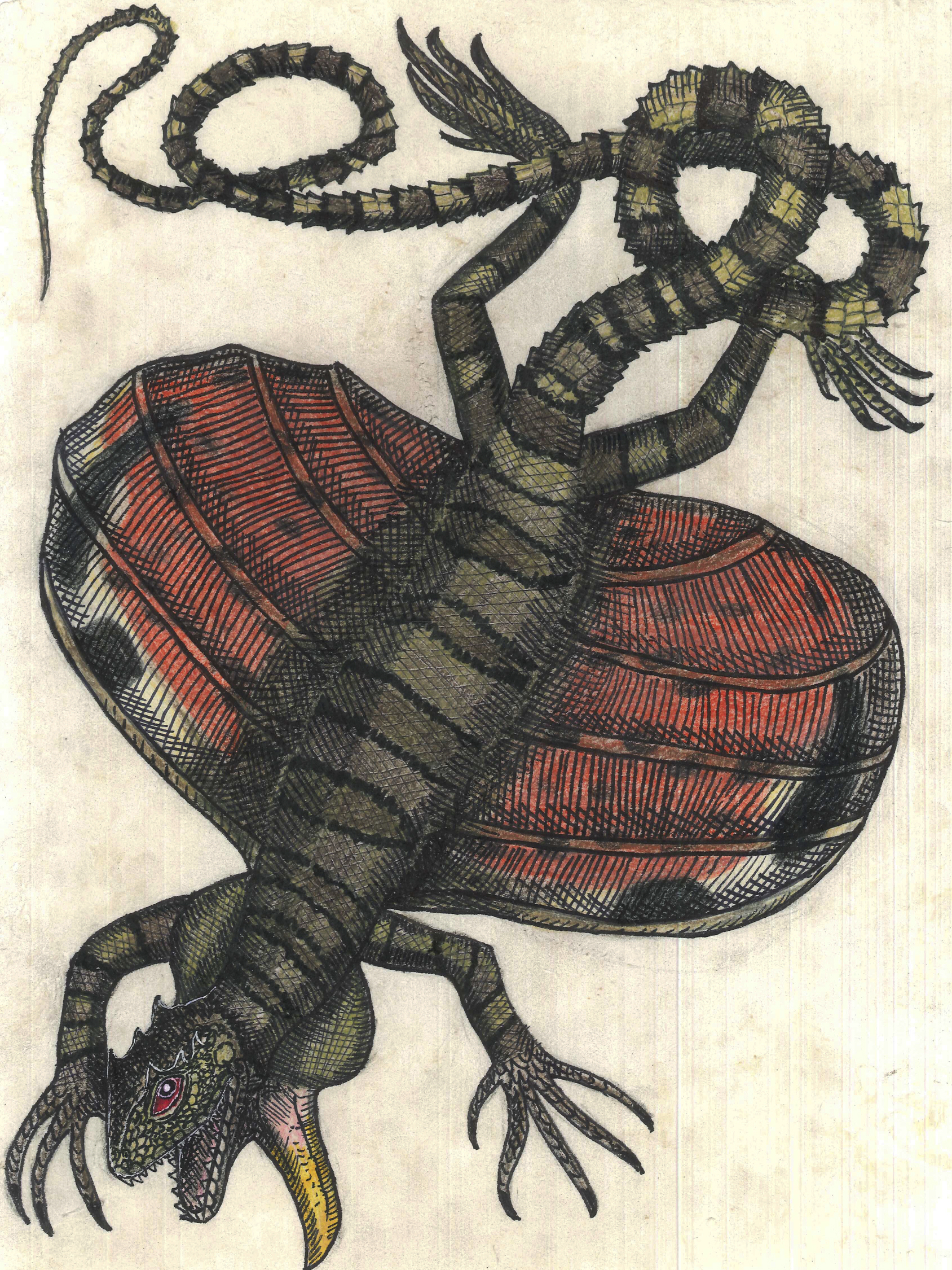 Bestiario de los animales reales que parecen inventados: FIERAS ...