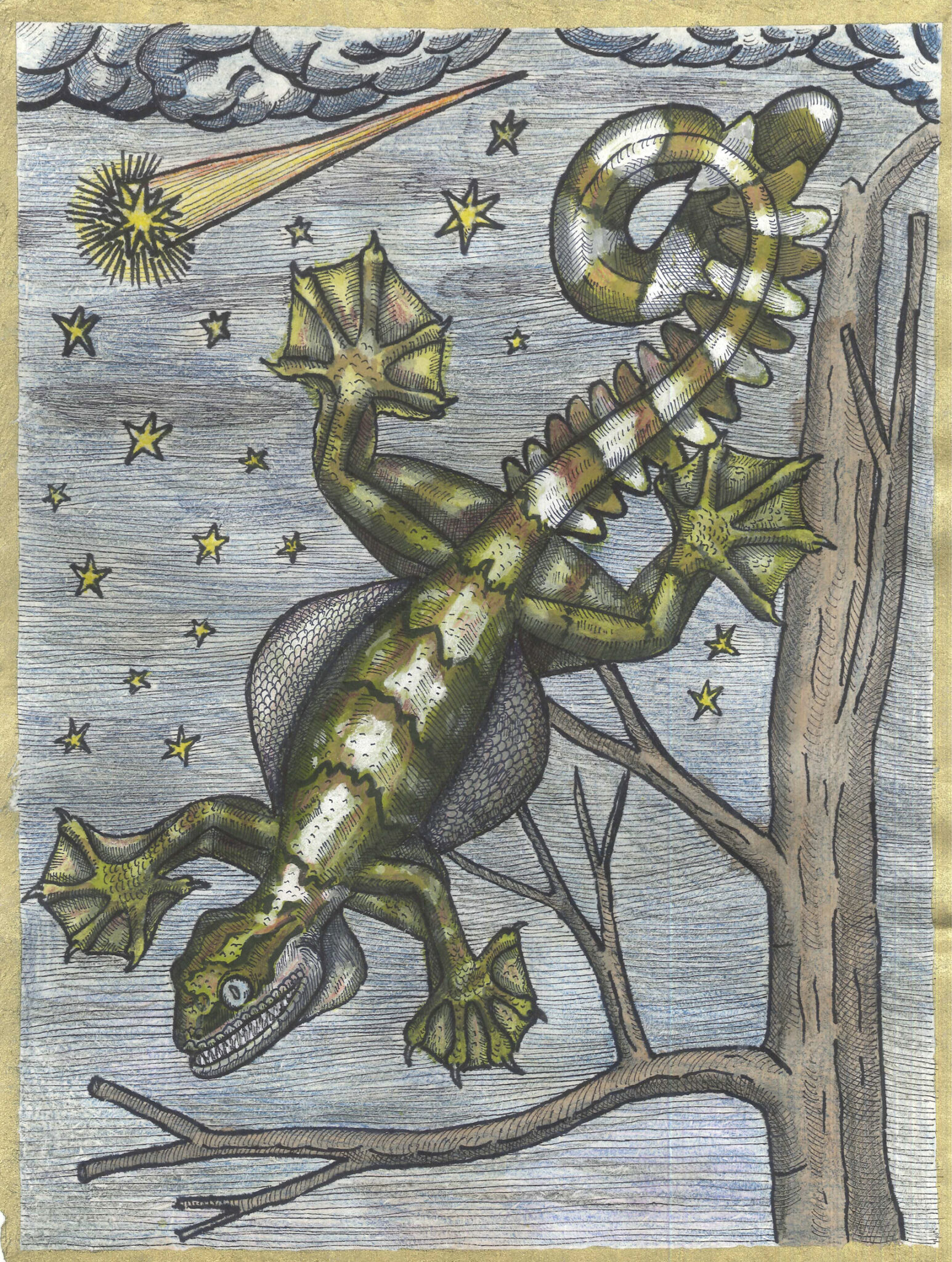 Bestiario de los animales reales que parecen inventados: FIERAS ...