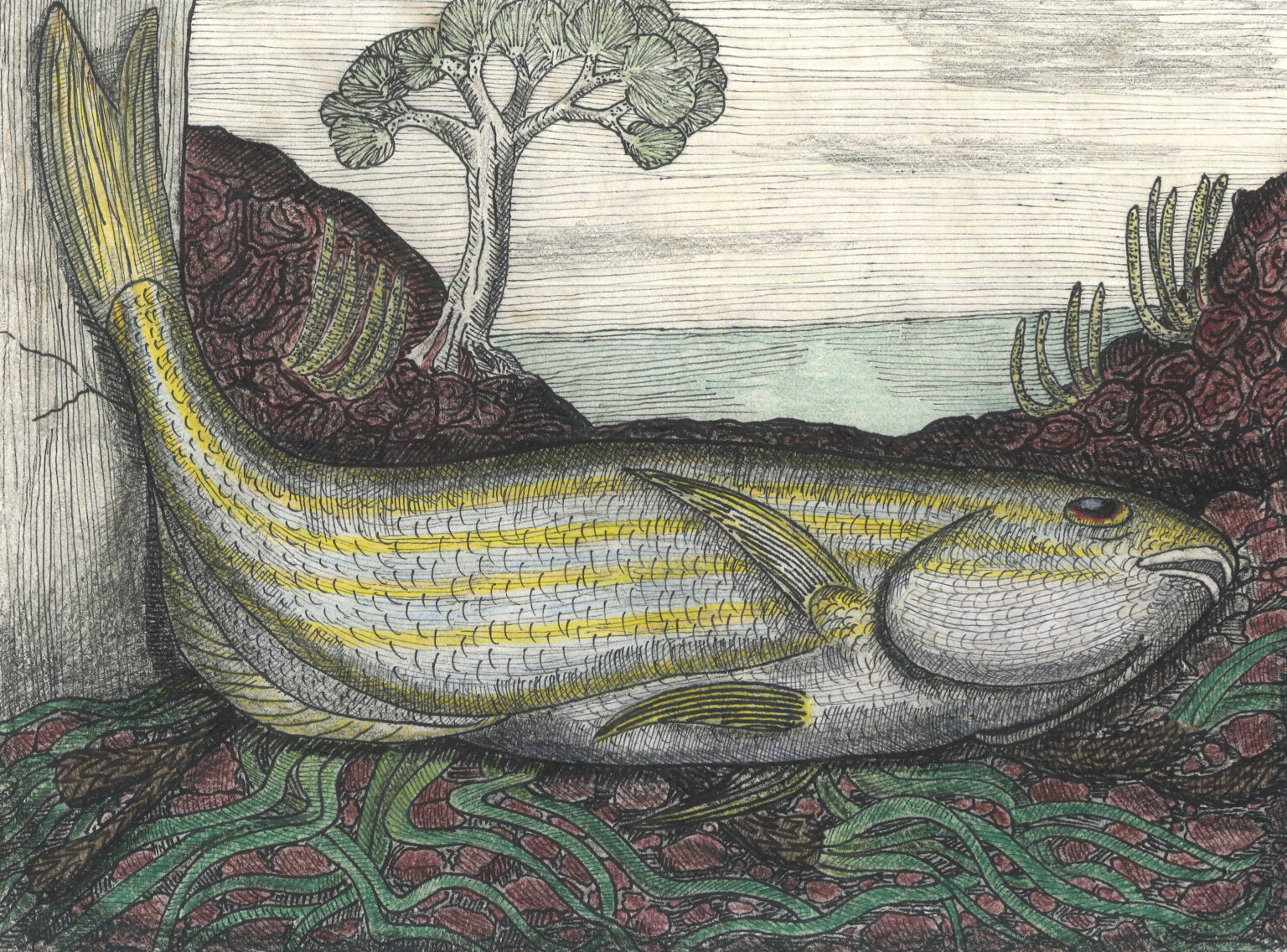 Bestiario de los animales reales que parecen inventados: FIERAS ...