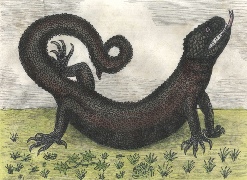 Bestiario de los animales reales que parecen inventados: FIERAS ...