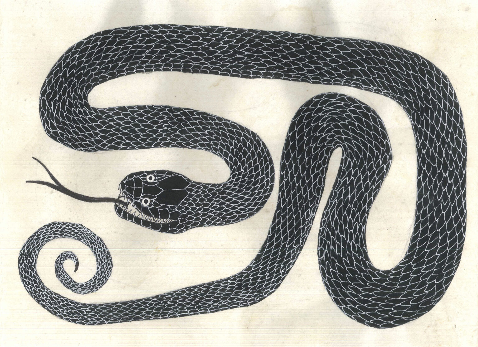 Bestiario de los animales reales que parecen inventados: FIERAS ...