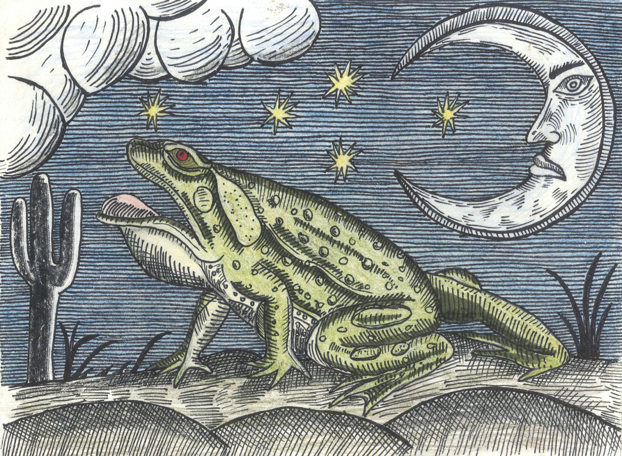 Bestiario de los animales reales que parecen inventados: FIERAS ...